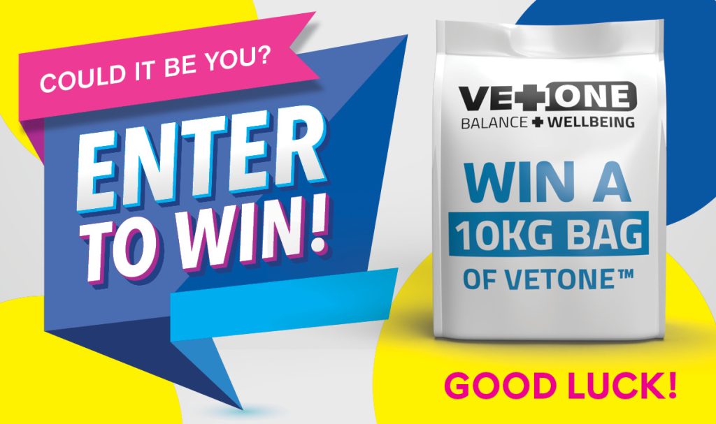 Conference – VetONE™