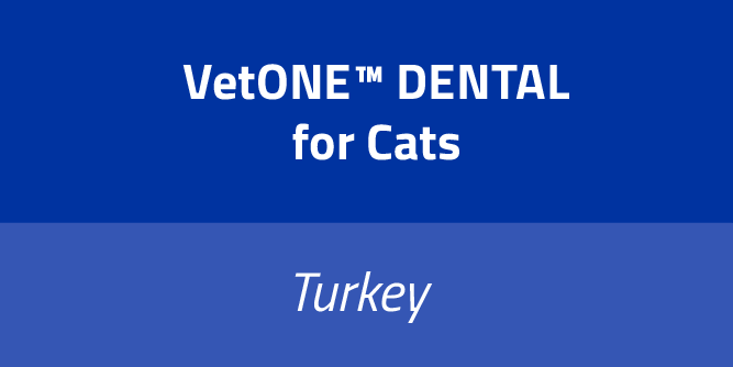 VetONE™ – Scientifically formulated super premium pet food vets trust ...