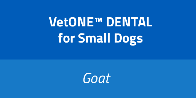VetONE™ – Scientifically formulated super premium pet food vets trust ...